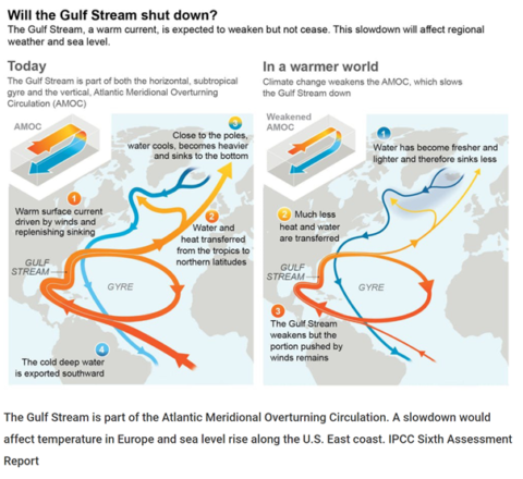 Le Gulf Stream - Immuscience.org